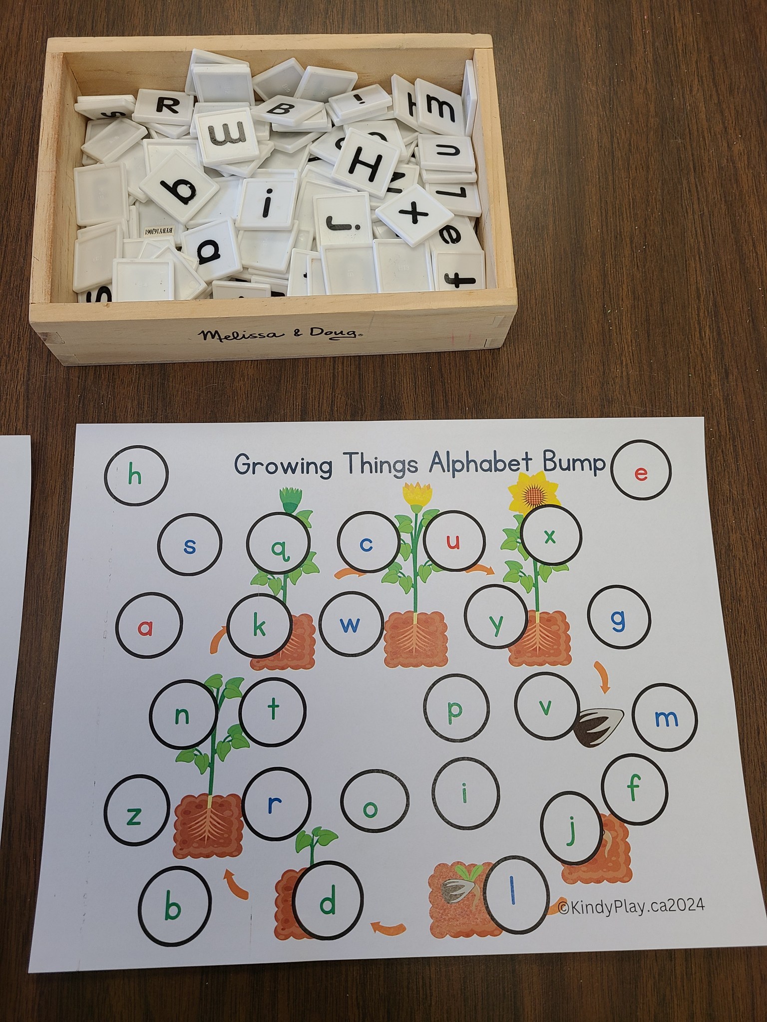 Kindergarten Green Thumbs: Exploring Growing Things! – Kindy Play