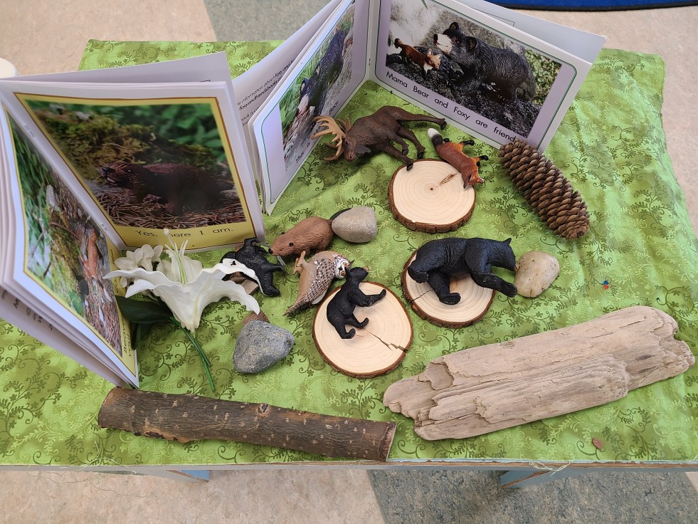 Kindergarten Green Thumbs: Exploring Growing Things! – Kindy Play