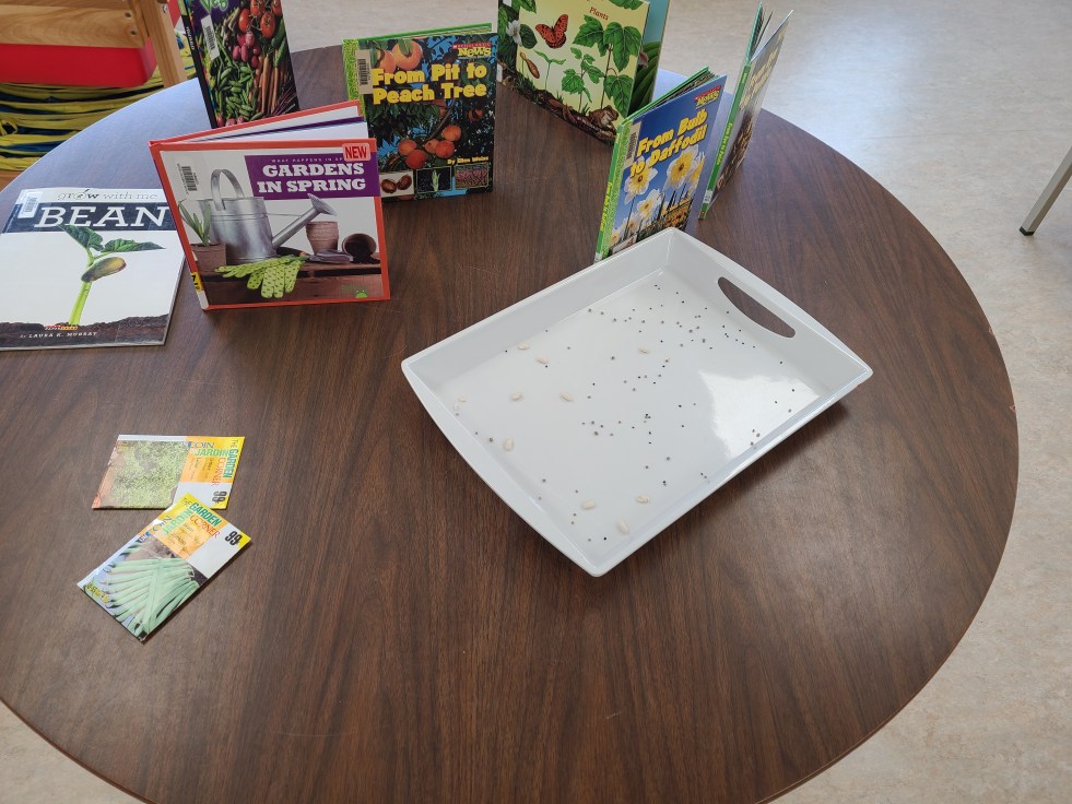 Kindergarten Green Thumbs: Exploring Growing Things! – Kindy Play