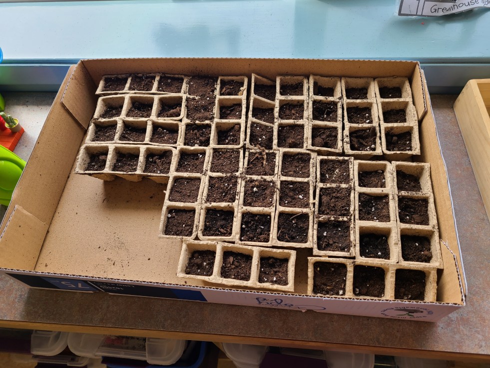 Kindergarten Green Thumbs: Exploring Growing Things! – Kindy Play